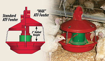 Adult Turkey Feeders